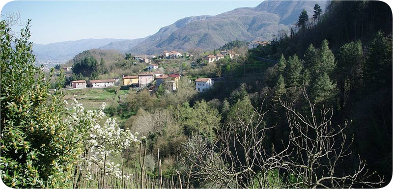 Molazzana: Dove Dormire, Dove Mangiare, Cosa visitare